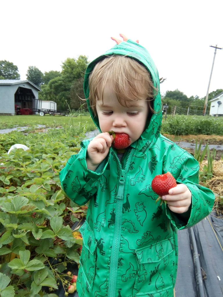 CSA Information | Sandy Bottom Farm