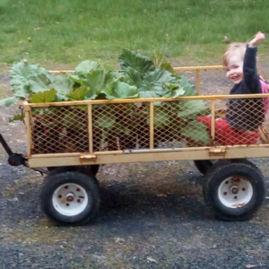 Home | Sandy Bottom Farm