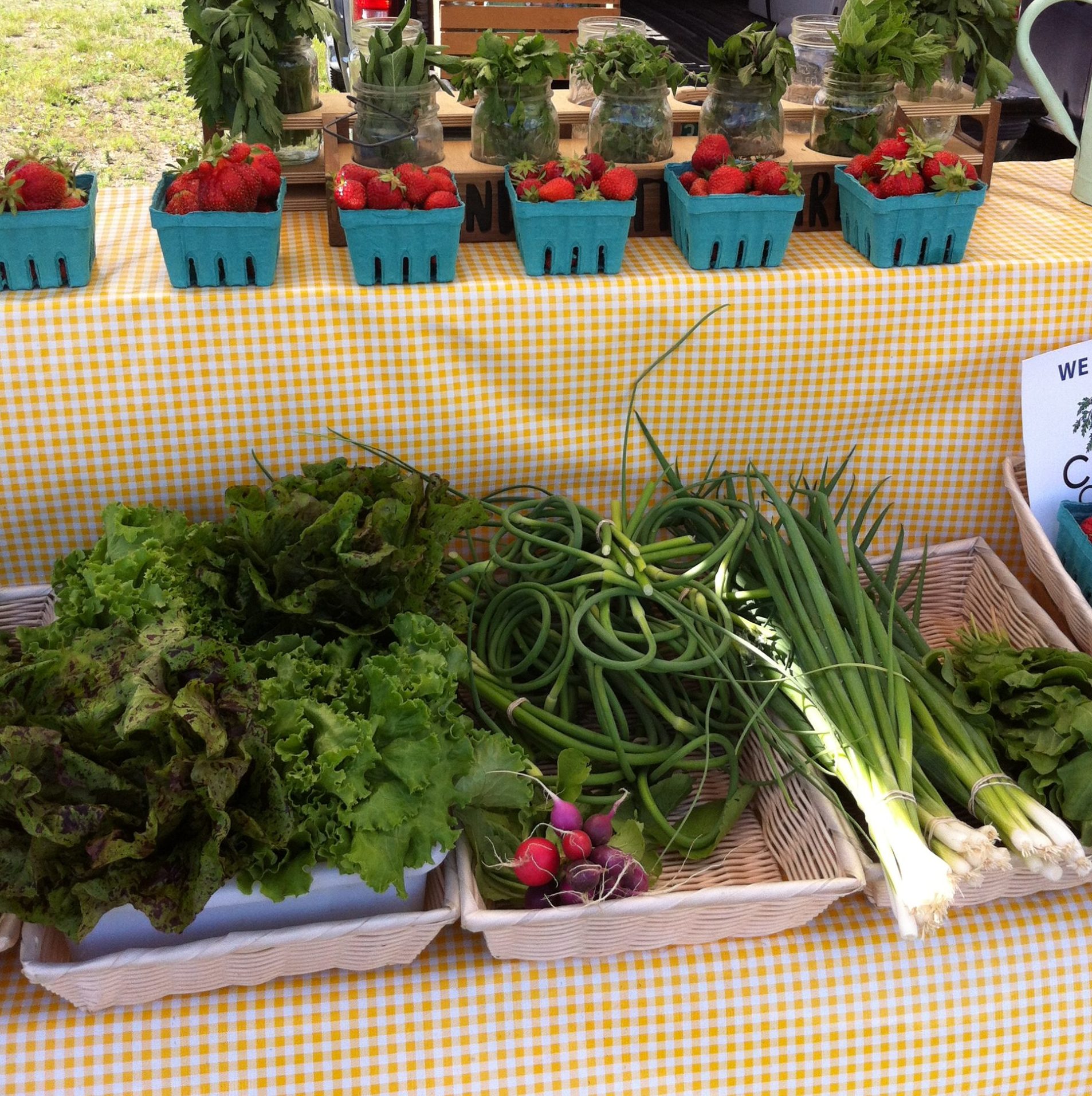 CSA Member Information | Sandy Bottom Farm