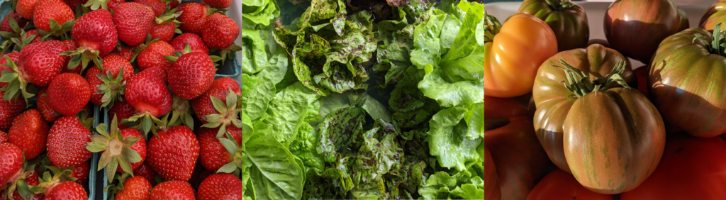 CSA Information | Sandy Bottom Farm